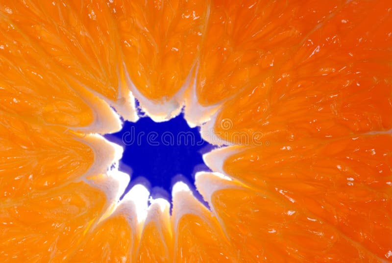 X-ray orange slice stock photo. Image of radiography - 16433064