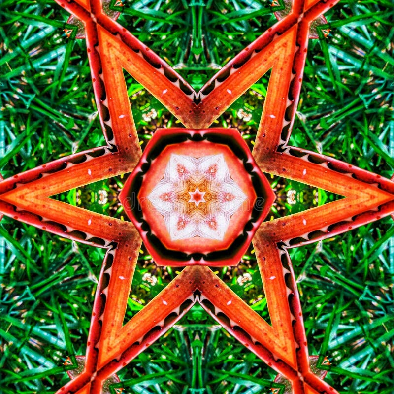 Abstract Orange Star Pattern Background Texture Stock Illustration ...