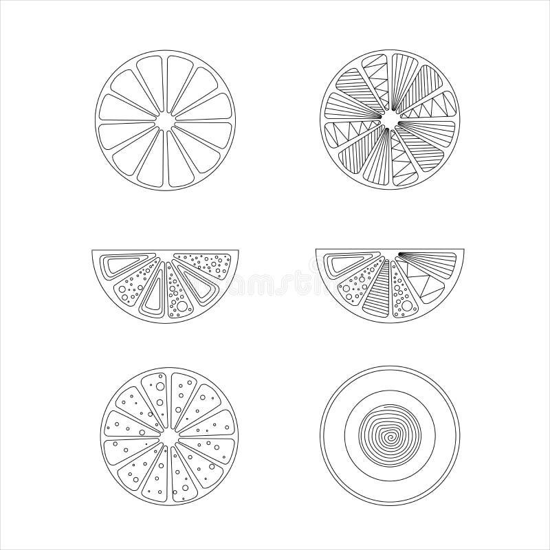 Set with Abstract Black and White Hand Drawn Oranges Stock Vector ...