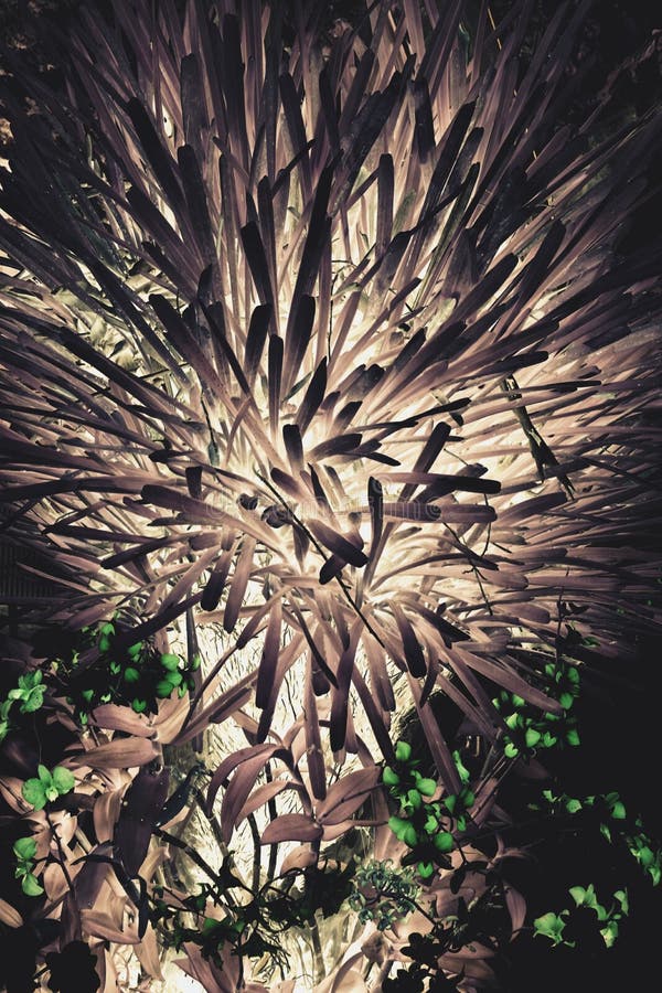 Abstract orchid background stock image. Image of bright - 4293507