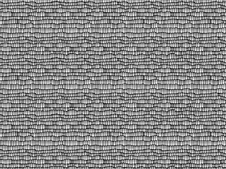 Chitin Plates Stock Illustrations – 3 Chitin Plates Stock Illustrations ...