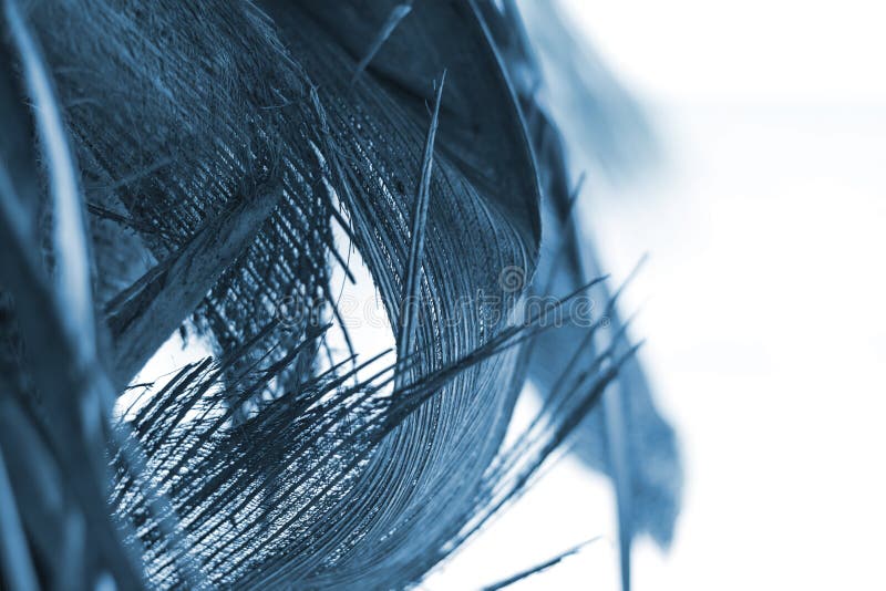 Abstract Organic Glass Texture Stock Image - Image of flow, glassy ...