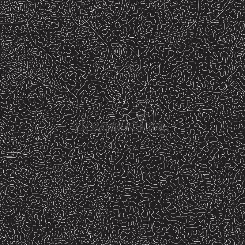 Hand Drawn Organic Complex Line Art with Abstract Shapes, Vector ...