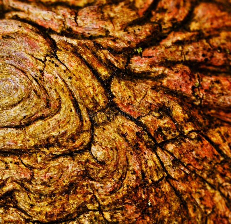 Abstract Organic Glass Texture Stock Image - Image of flow, glassy ...