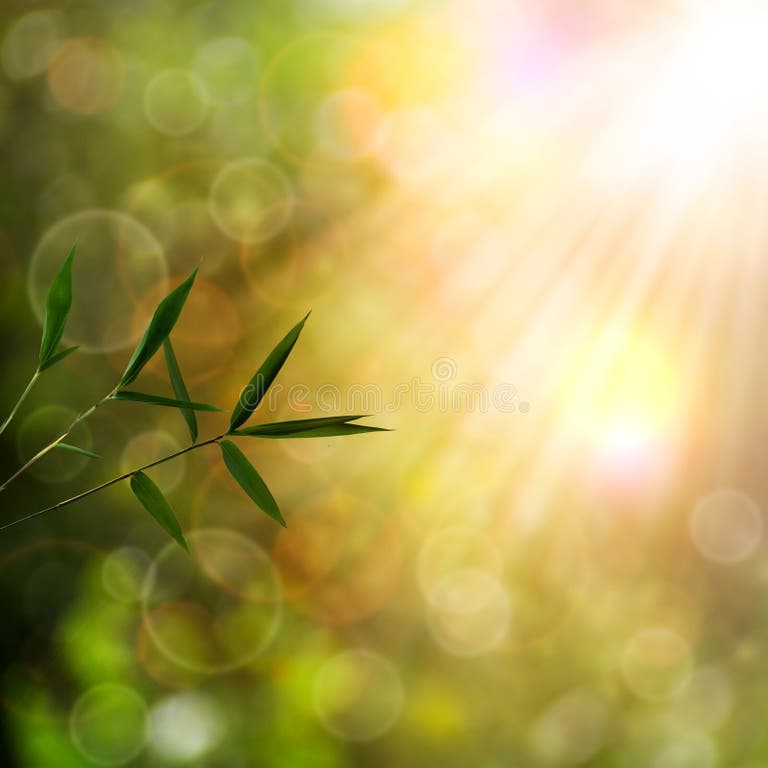 11,336 Wellbeing Backgrounds Stock Photos - Free & Royalty-Free Stock ...