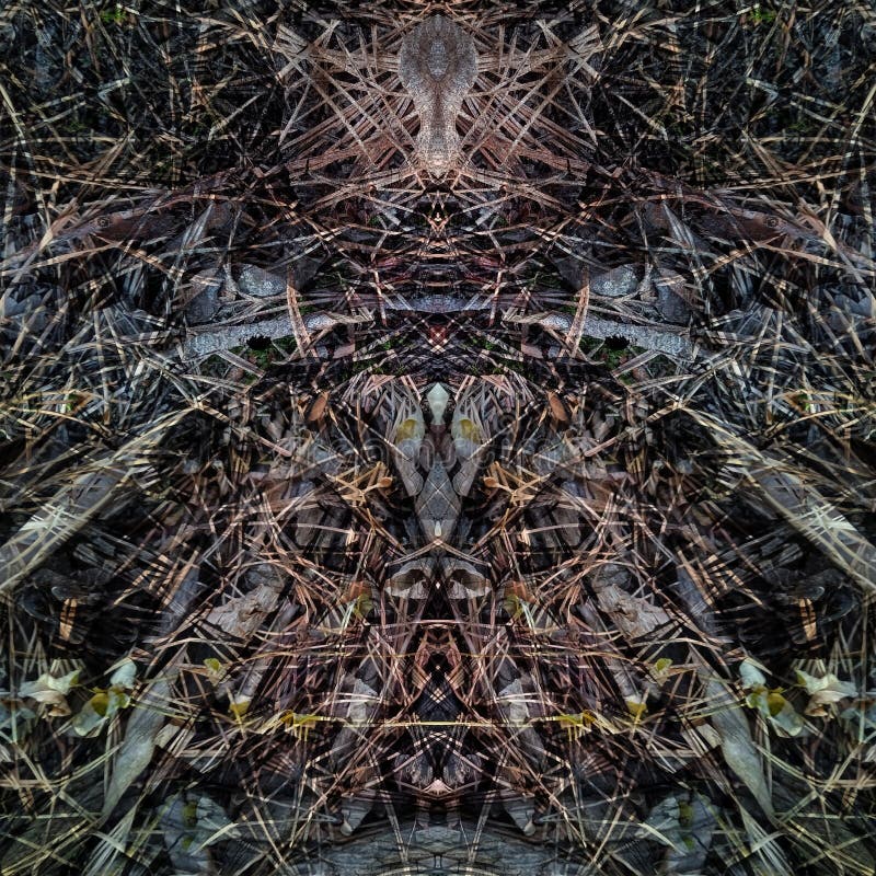 Abstract Ornamental Background Stock Photo - Image of trunk, world ...