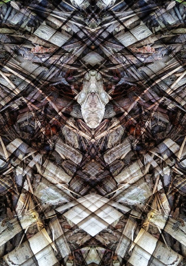 Abstract Ornamental Background Stock Image - Image of design ...