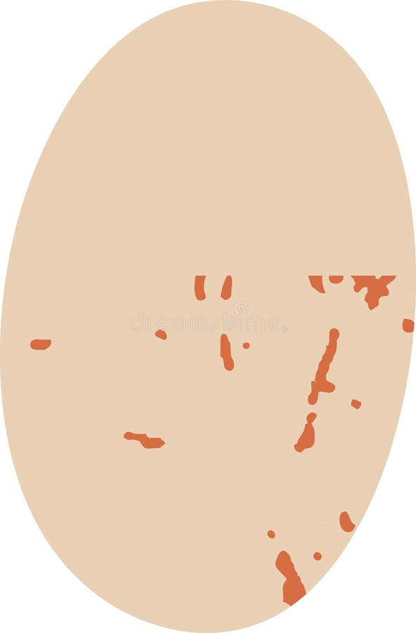 Abstract Oval Grunge Shape stock vector. Illustration of brush - 330821803