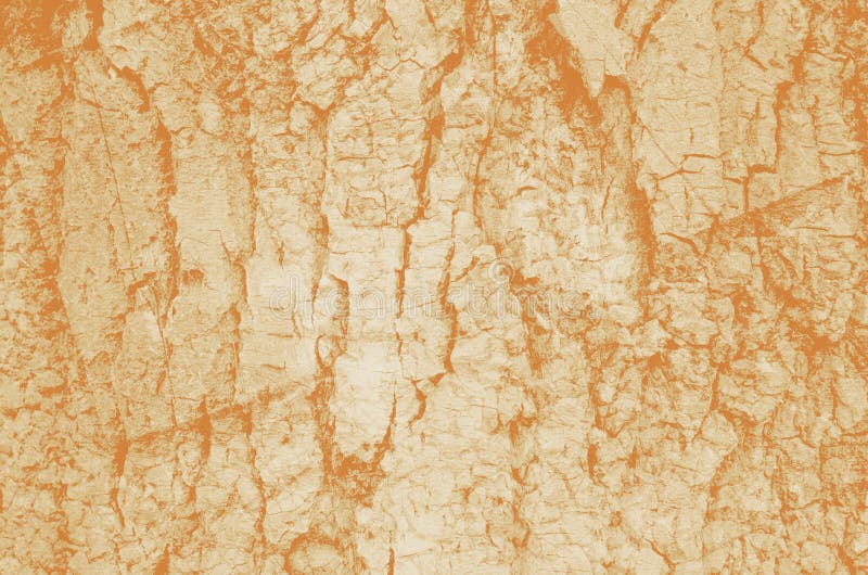 Abstract Pale Brown and White Colors Background for Design Stock ...