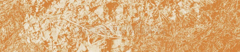 Abstract Pale Brown and White Colors Background for Design Stock Photo ...