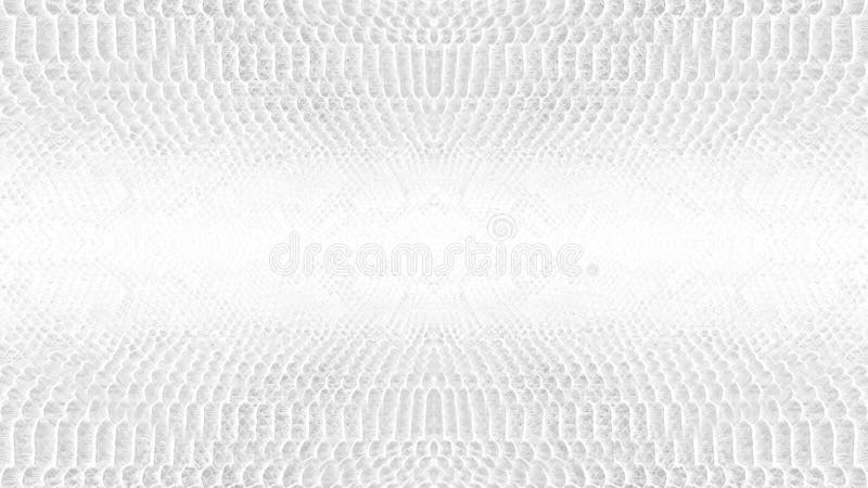 Fashion Day Animation Text. Stock Footage - Video of card, background ...