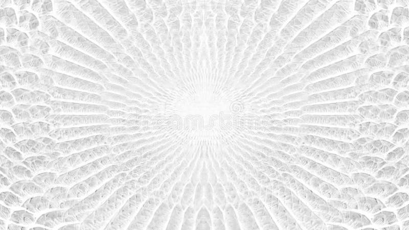 Fashion Day Animation Text. Stock Footage - Video of card, background ...