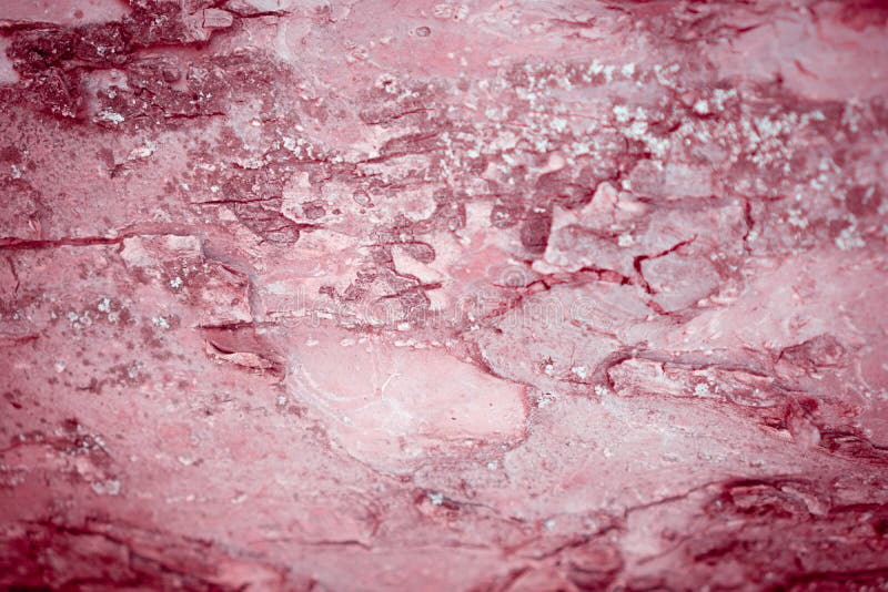Abstract Pattern of Bark of Tree Toned Pink Stock Photo - Image of pink ...