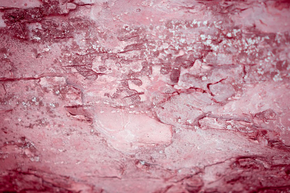 Abstract Pattern of Bark of Tree Toned Pink Stock Photo - Image of pink ...