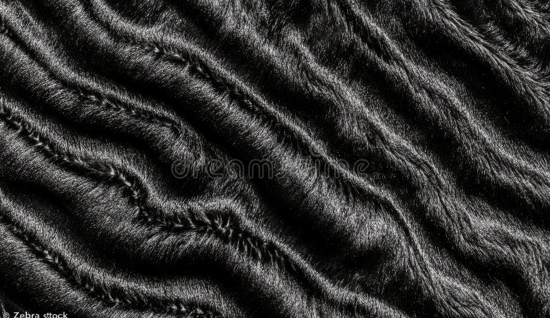 An Abstract Pattern of Black and White Stripes Inspired by Wild Zebra ...