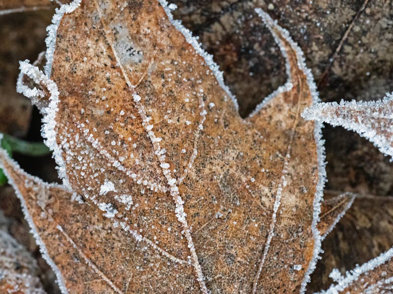 Ice Pattern on a Frozen Puddle Stock Image - Image of bubbles, nature ...