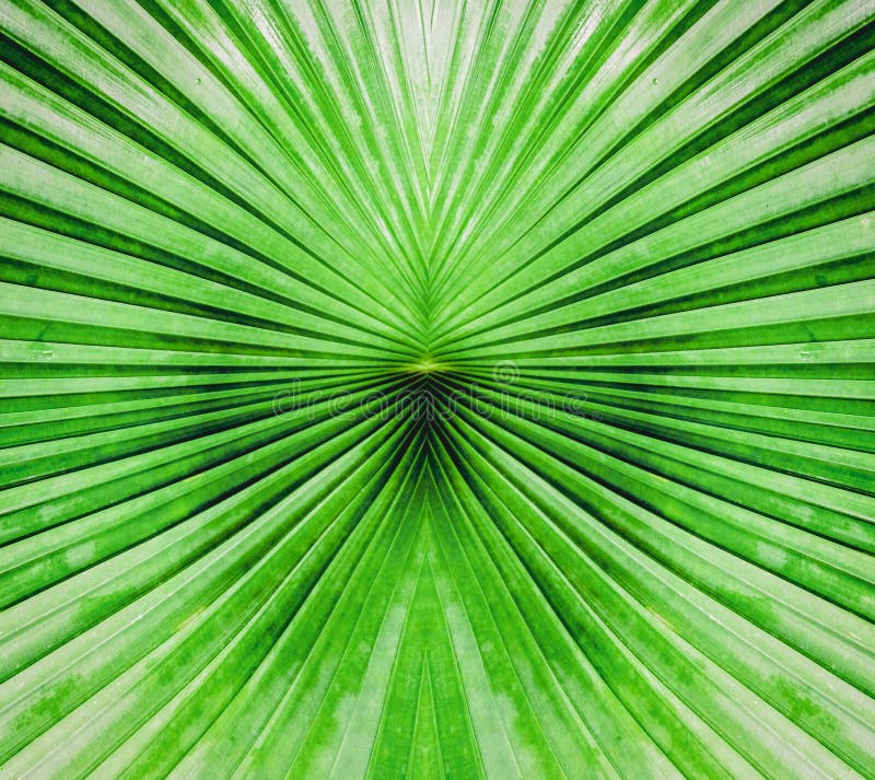 Abstract Pattern with Green Leaves. Deep Perspective. Design Template ...