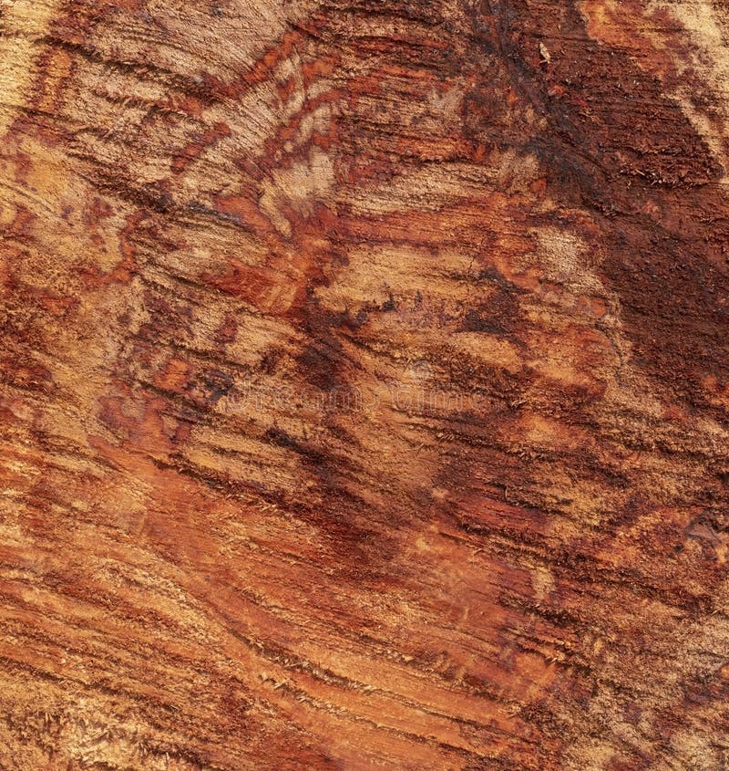 Abstract Pattern of Longan Tree Core Texture Stock Photo - Image of ...