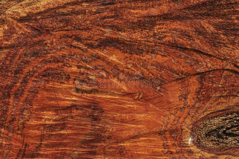 108 Longan Tree Pattern Stock Photos - Free & Royalty-Free Stock Photos ...