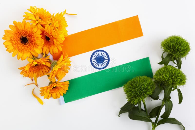 Abstract Pattern with Orange and Green Flowers Frame on White ...