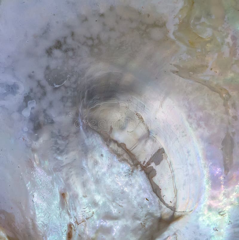 Abstract pearls stock photo. Image of rich, beige, circles - 550912