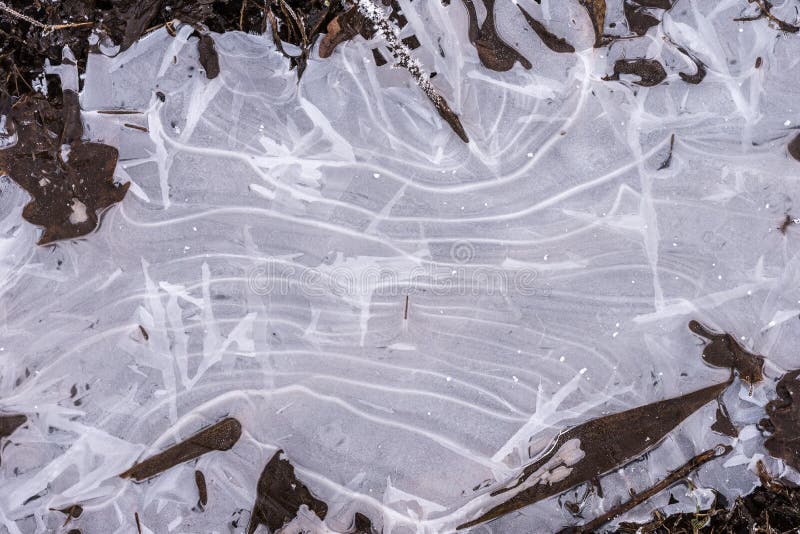 Abstract Pattern on a Puddle Formed by Ice. Frozen Water Texture Stock ...