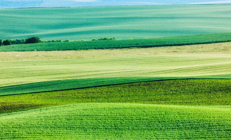 Abstract Pattern of Rolling Fields Stock Photo - Image of moravian ...