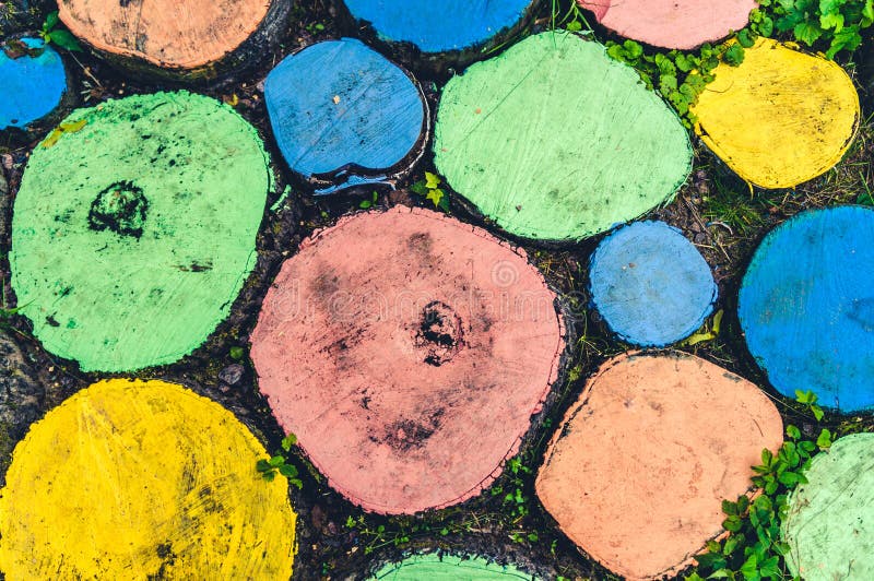 Abstract Pattern of Round Shaped Multi-colored Tree Stumps Stock Photo ...