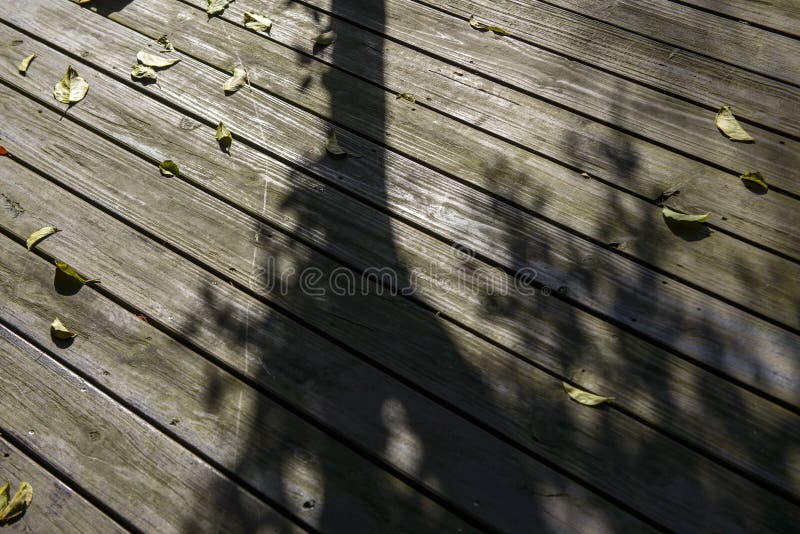 Abstract Pattern. Shadow on Ground Texture Stock Image - Image of floor ...