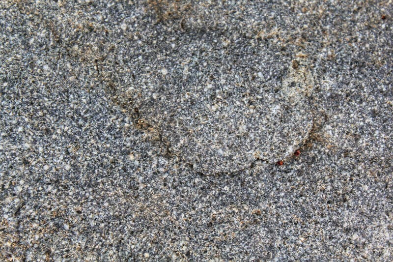 Abstract and Pattern of Stone. Background of Concrete Rock with Grey ...