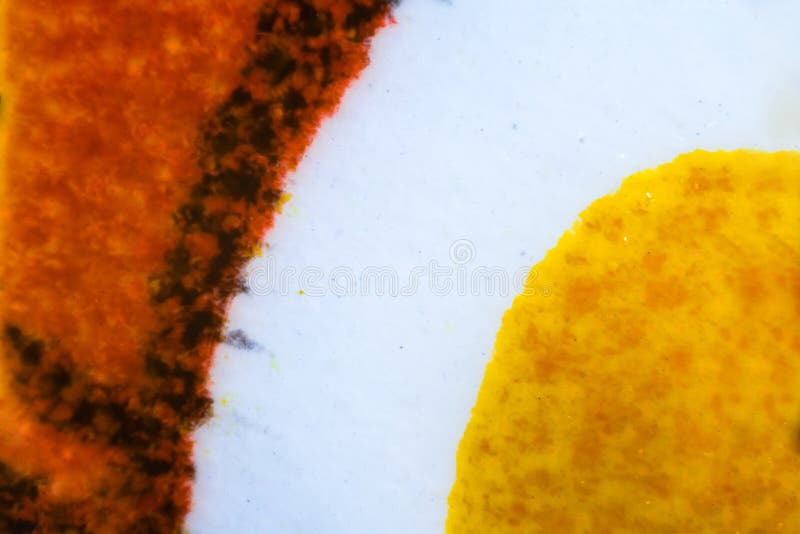 Abstract Pattern Texture on Credit Card Under the Microscope Stock ...