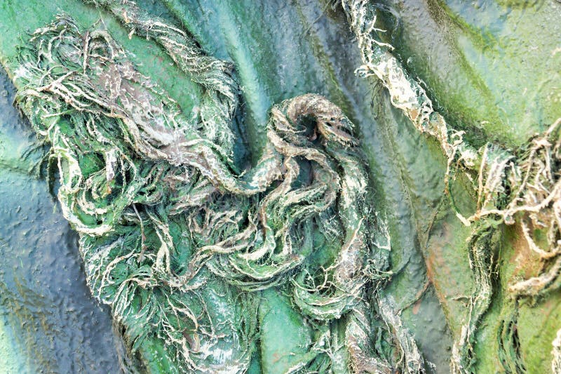 Abstract Pattern from Threads and Ropes of Green Color Stock Image ...