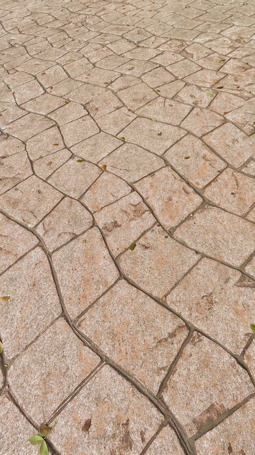 Pattern of Walking Path Materials Atvthe Garden. Decoration and ...