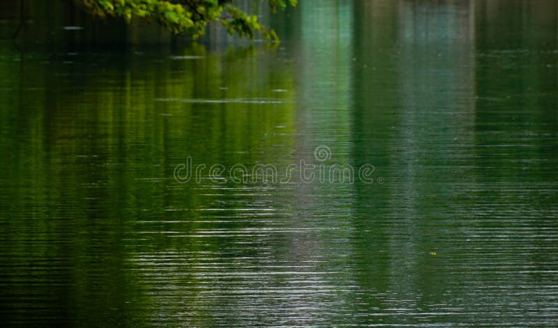 The reflection of sunlight stock photo. Image of grid - 173363390