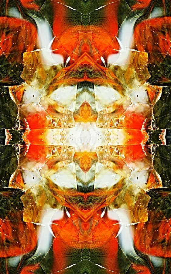 Abstract macro shells stock image. Image of decoration - 23730615