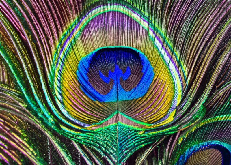 Abstract Peacock Feather Pattern Created with Generative Ai Technology ...