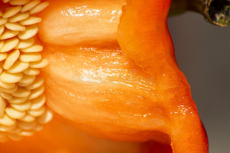 Abstract Pepper with Seeds Inside is Macro Stock Photo - Image of ...