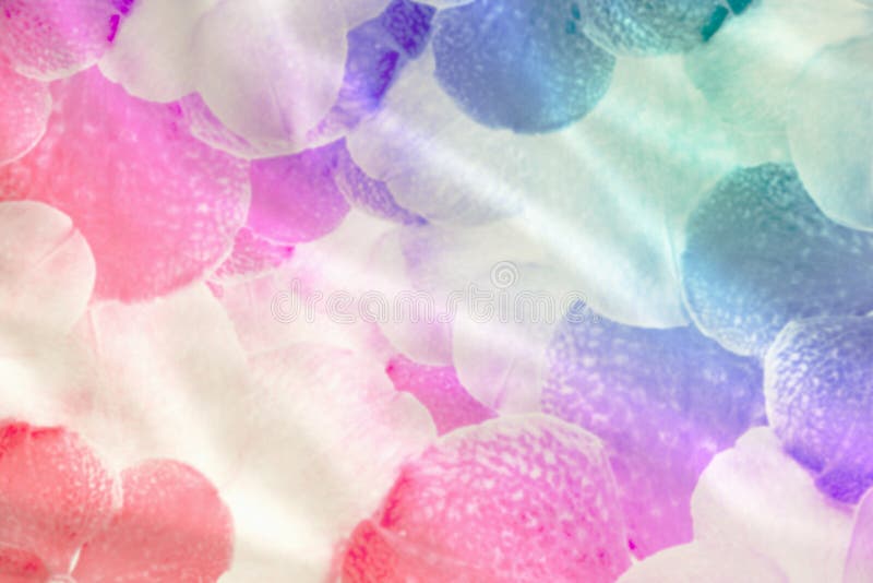 Abstract petal roses heart stock image. Image of flowers - 84610255