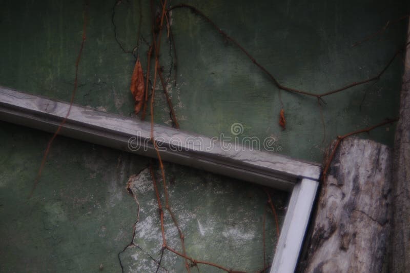 Aged Green Wall with Falling Plaster and Broken Window Stock Image ...