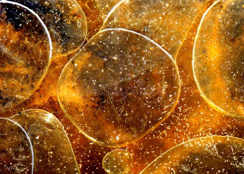 Large Bubbles on the Orange Surface Stock Photo - Image of round ...