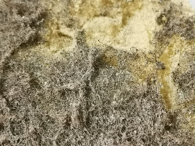 Abstract Photo of Span Surface for Background Purpose. Stock Photo ...