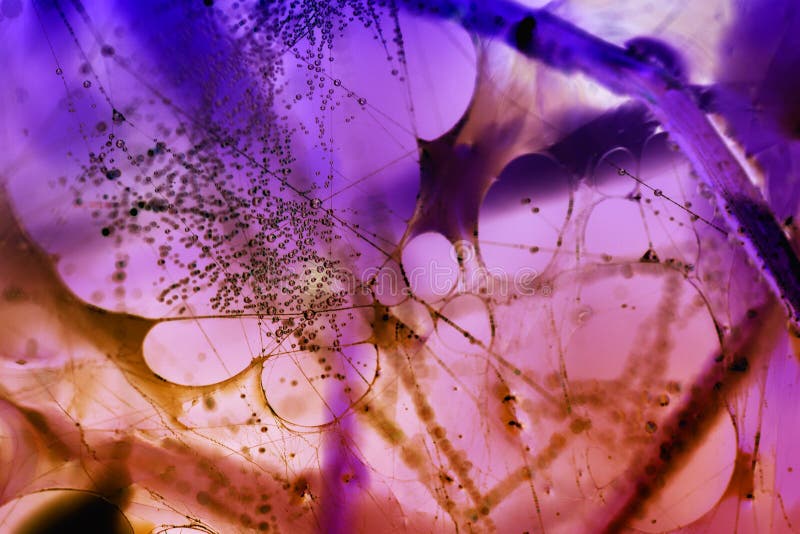 Abstract Photo in Violet-orange Color Stock Photo - Image of decorative ...