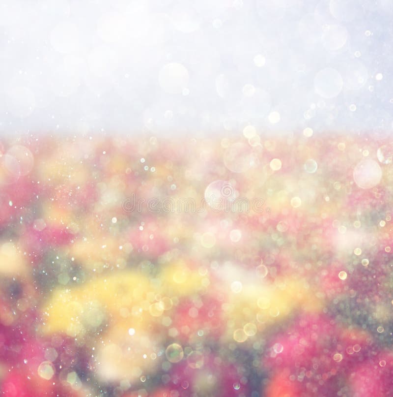 Abstract Photo of Wild Flower Field and Bright Bokeh Lights Stock Image ...
