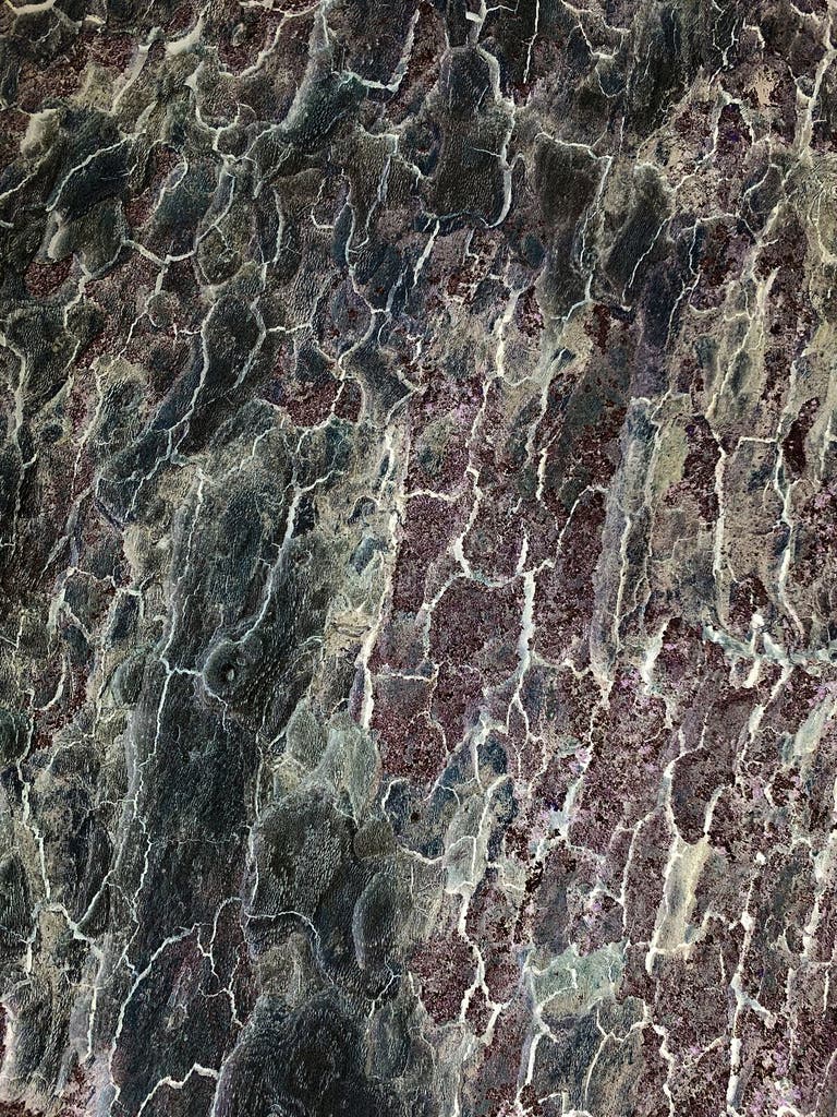 1,050 Processed Tree Bark Stock Photos - Free & Royalty-Free Stock ...