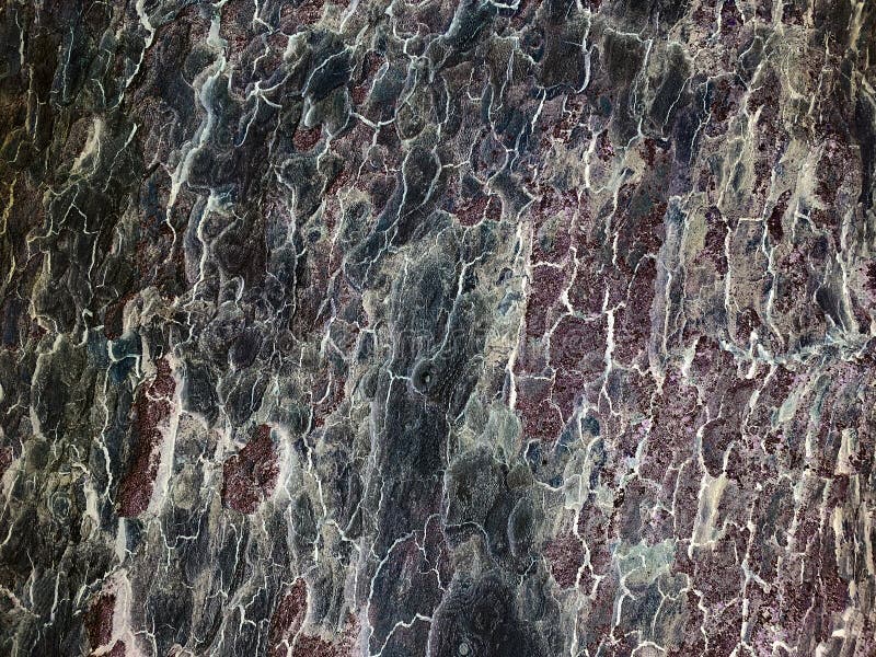 Abstract Photography Background of Negative Processed Tree Bark ...