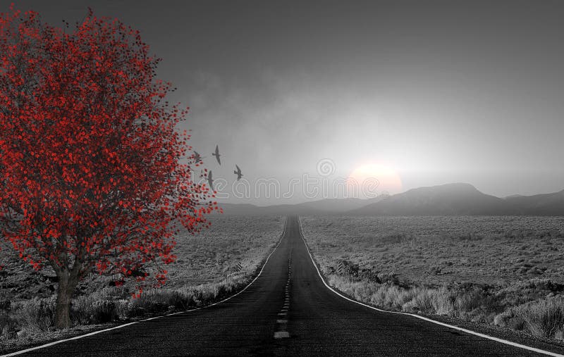 Abstract Photography Road Forward Stock Photo - Image of road, sunset ...