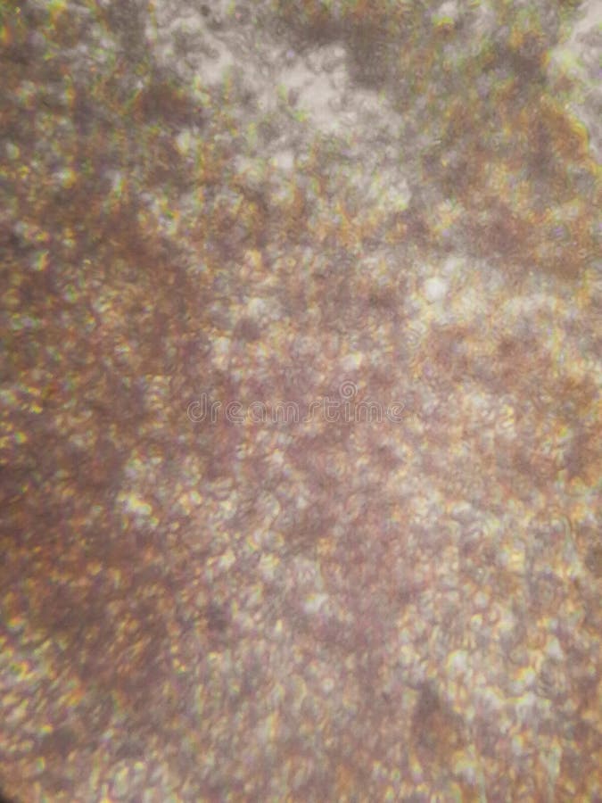 Colorful Backgrounds and Textures, Micro Patterns Stock Illustration ...