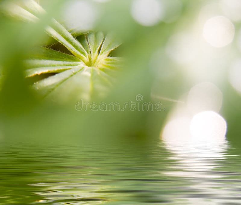 Abstract Picture of a Nature Stock Photo - Image of cover, autumn: 2145458