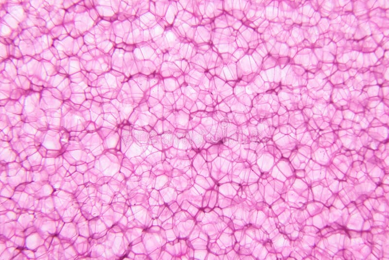 Abstract Pink Background with Texture. Synthetic Sponge Stock ...