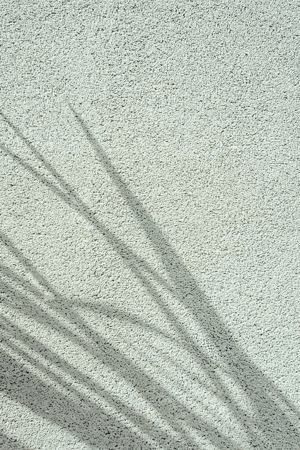 Abstract Plant Shade on a Soft and Subtle Background Stock Image ...